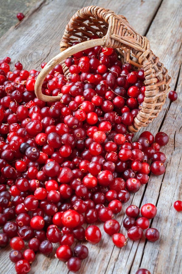 Fresh Red Cranberries, Berries and Basket on Old Table Stock Image ...