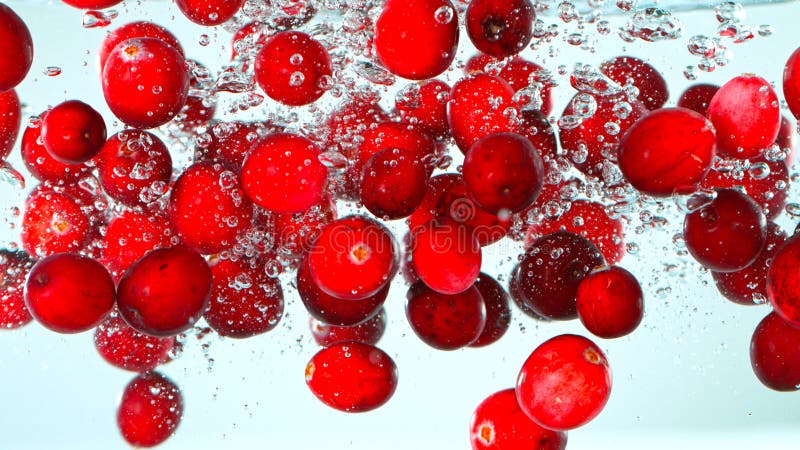 Fresh Red Cranberries Falling into Water Stock Image - Image of super ...