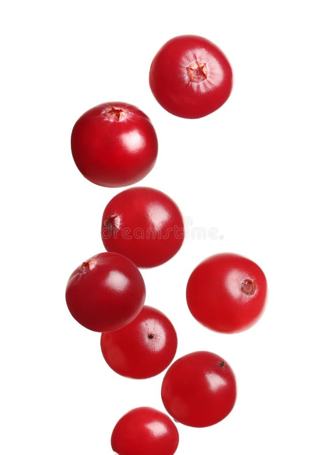 Fresh Red Cranberries Falling on White Background Stock Photo - Image ...