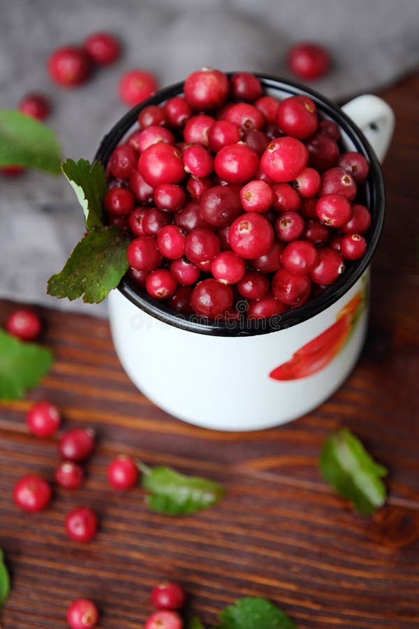 Fresh Red Cranberries with Leaves on the Table Stock Image - Image of ...