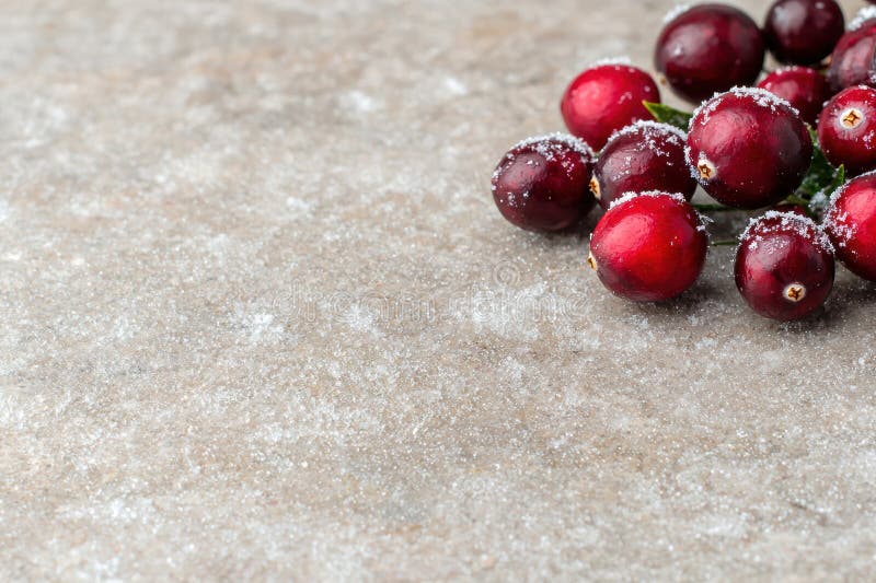 Fresh Red Cranberries on Snowy Surface Stock Illustration ...