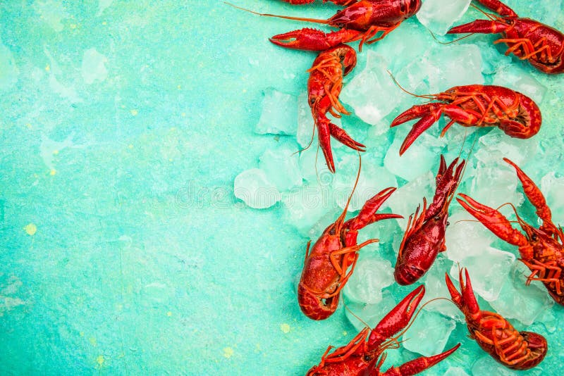 Fresh Red Crayfish Over Ice, Top View, Vibrant Colors Stock Image ...