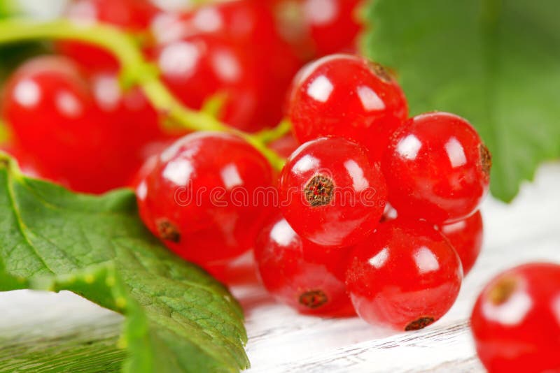 Fresh red currant berries stock image. Image of ripe - 70747155