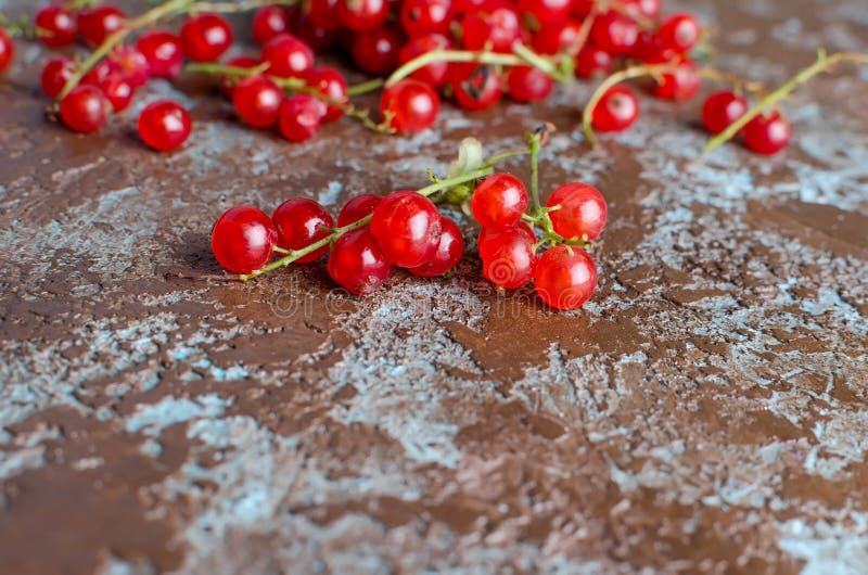 Fresh red currant berries stock image. Image of fresh - 121766759