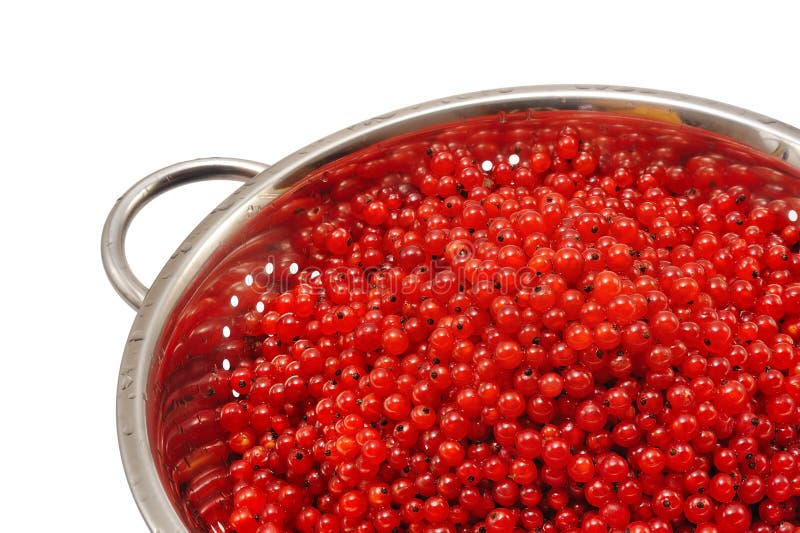 Fresh Red Currant Berries with Water Drops in Cola Stock Image - Image ...