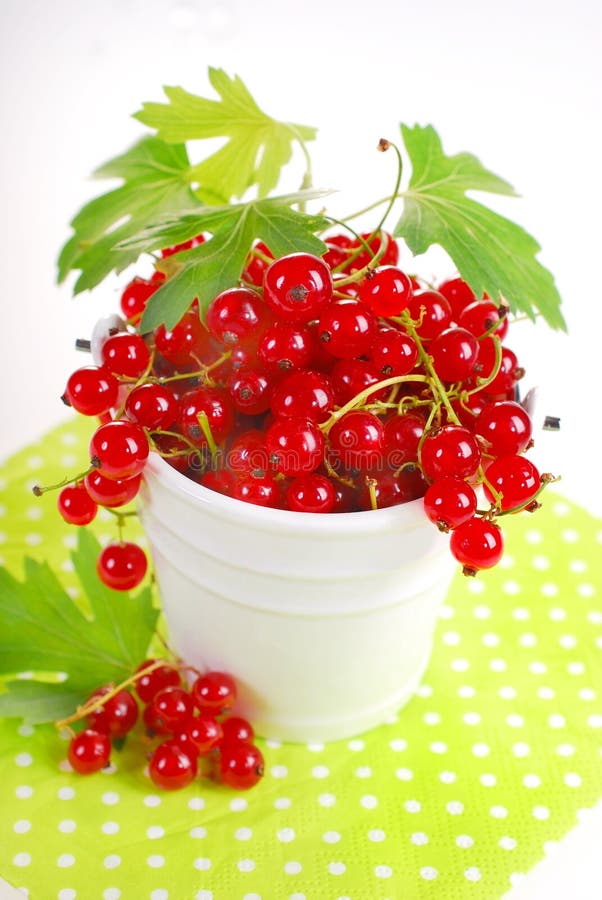 Fresh red currant stock image. Image of ripe, sweet, fruit - 32977249