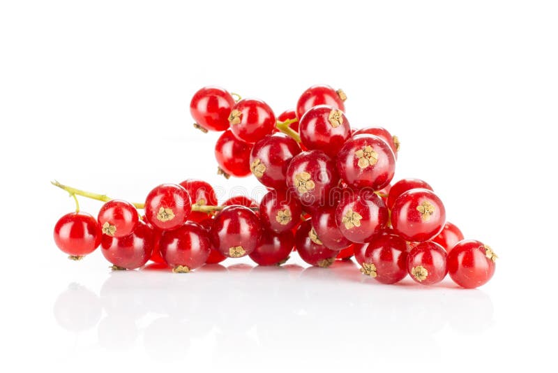 Fresh Red Currant Isolated on White Stock Photo - Image of fresh ...