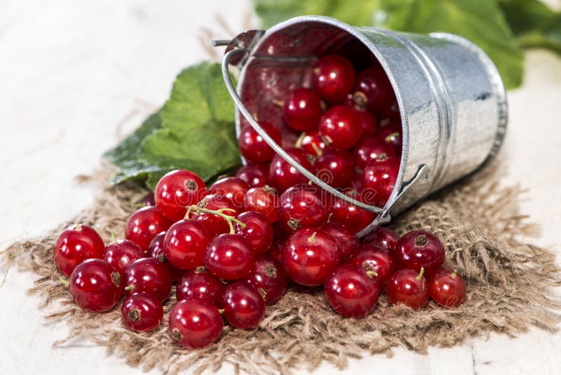 Fresh Red Currants stock image. Image of studio, currants - 33121767