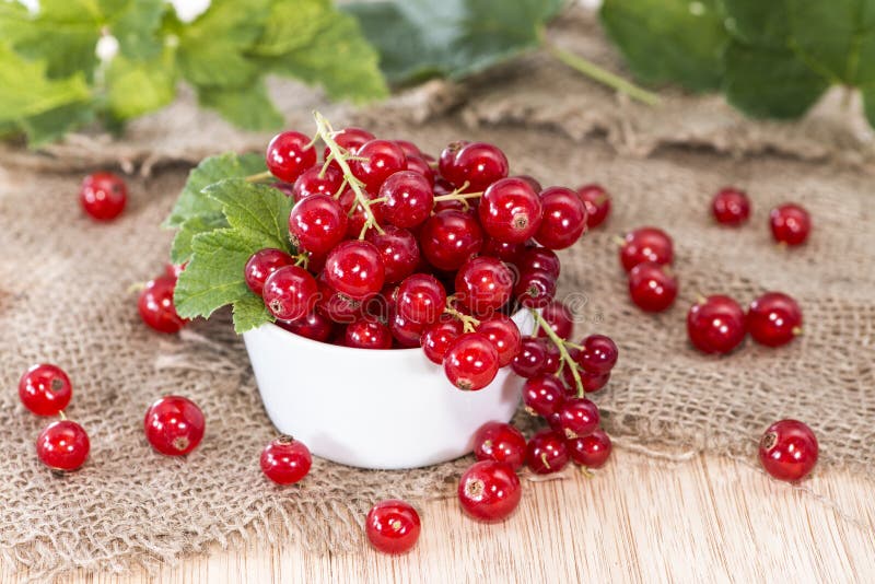 Fresh Red Currants stock image. Image of sour, organic - 33419239