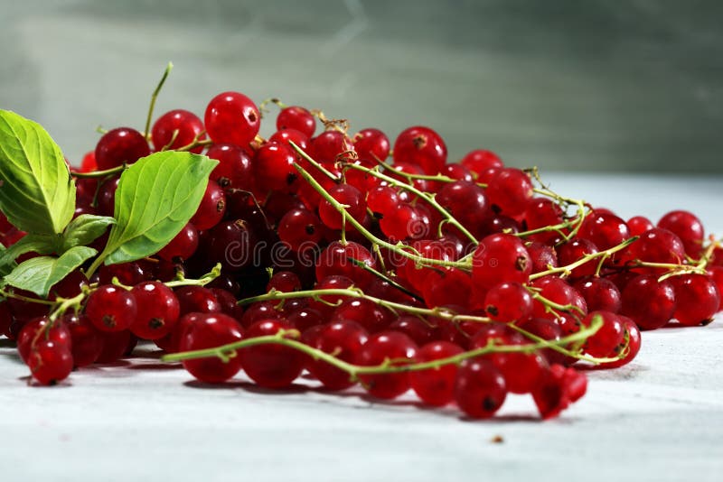 Fresh Red Currants on Light Rustic Table. Healthy Summer Fruits Stock ...