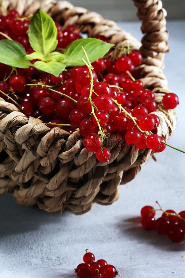 Fresh Red Currants on Light Rustic Table. Healthy Summer Fruits Stock ...