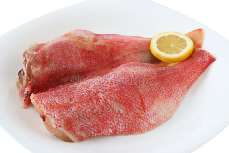 Fresh red fish stock photo. Image of dinner, fish, lunch - 17519042