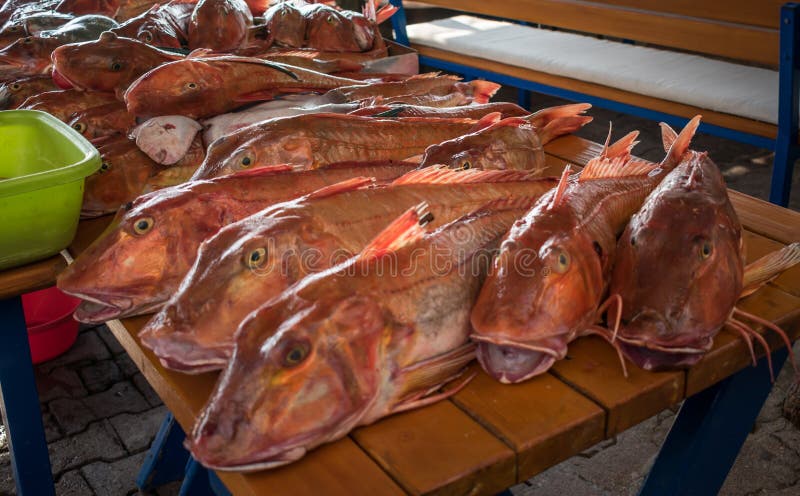 Fresh Red Fish at the Fish Market. Closeup Stock Photo - Image of ...