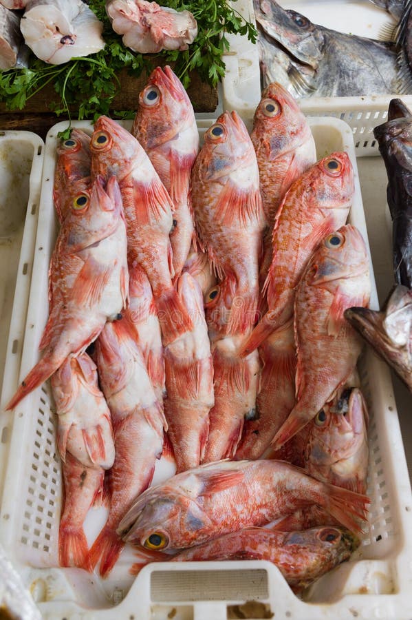 Fresh Red Fish in a Plastic Box Stock Image - Image of freshness ...
