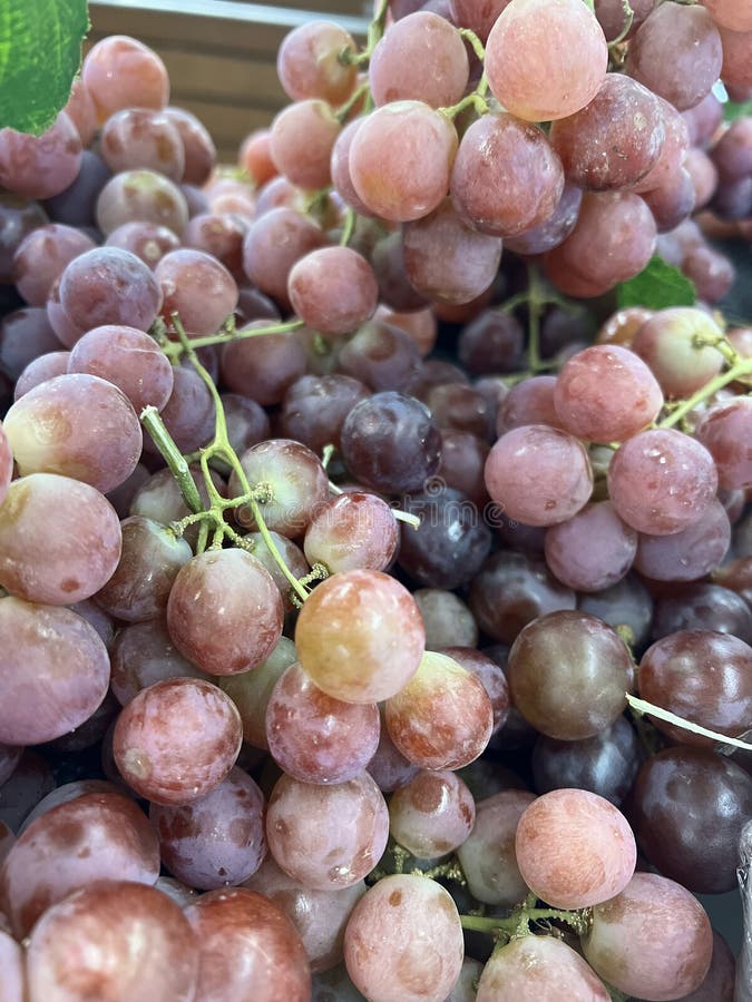 Fresh red globe grape stock photo. Image of full, grape - 268239586