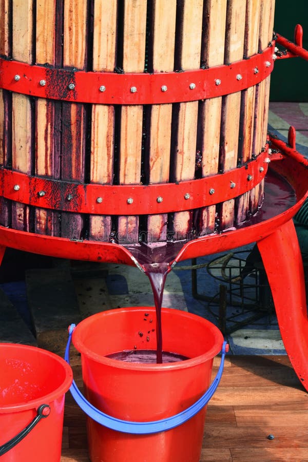 Fresh Red Grape Juice is Flowing into a Bucket from a Basket Press ...