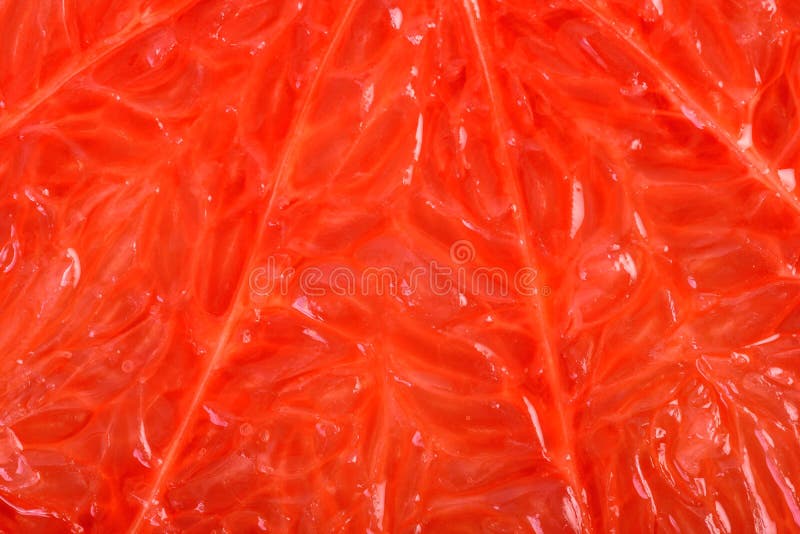 Fresh Red Grapefruit stock image. Image of diet, sour - 68052245