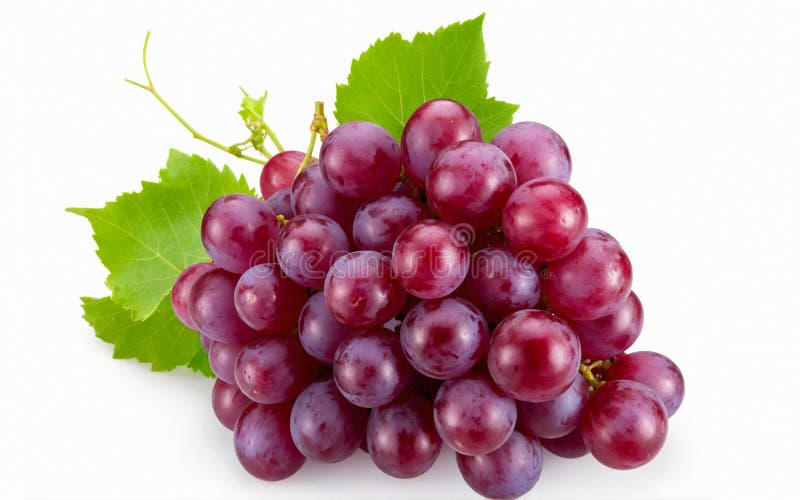 Fresh Red Grapes in Bloom stock image. Image of nutrient - 331436927