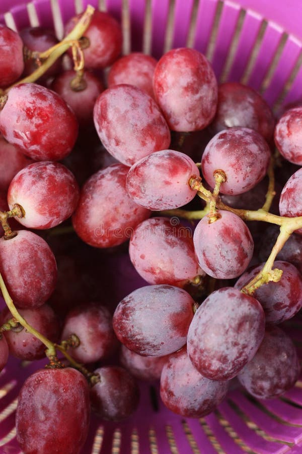 Fresh Red Grapes on the Table Macro Stock Image - Image of berry, juicy ...