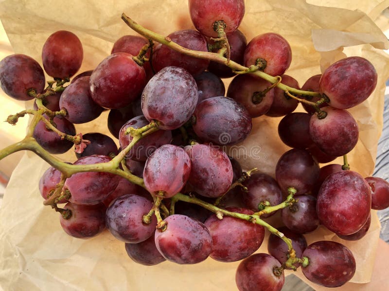 Fresh Red Grapes on the Table Macro Stock Image - Image of juice ...