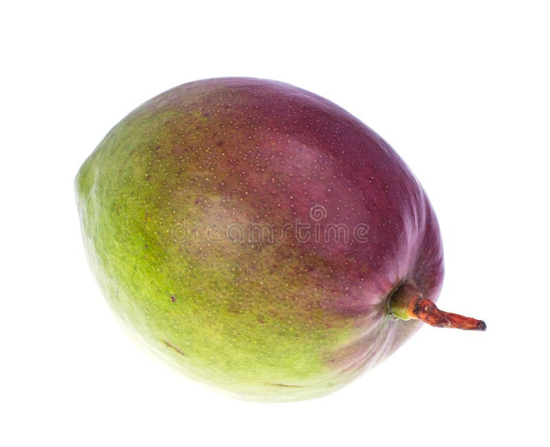 Fresh Red Green Salad Mango Isolated on White Stock Photo - Image of ...