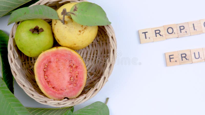 Fresh Red Guava with Green Leaves on White Background Stock Footage ...