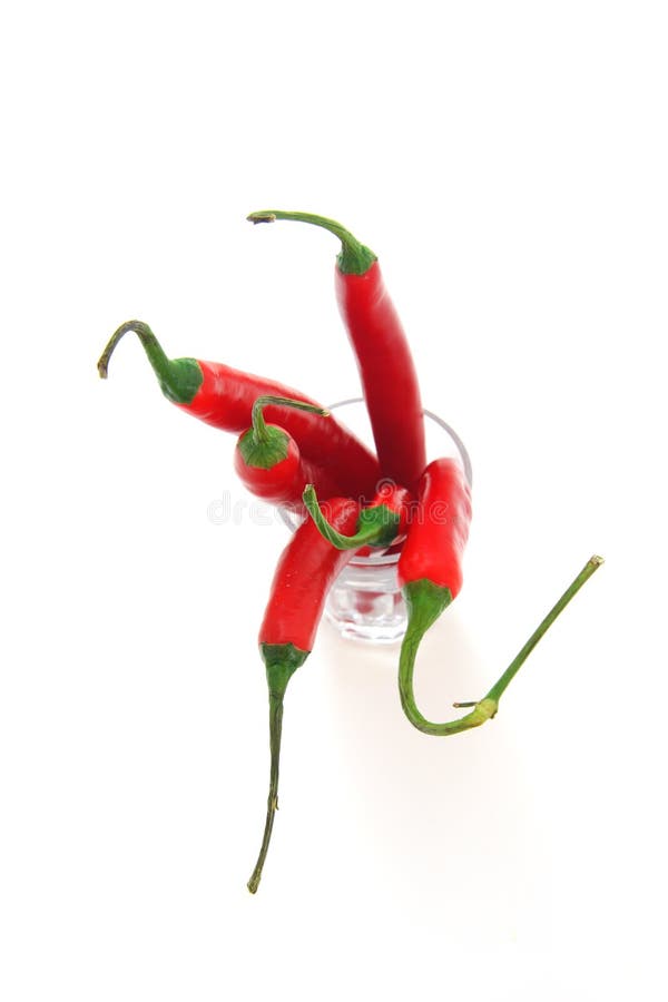 Small Red Hot Chilli Pepper Stock Image - Image of spices, flora: 2958061