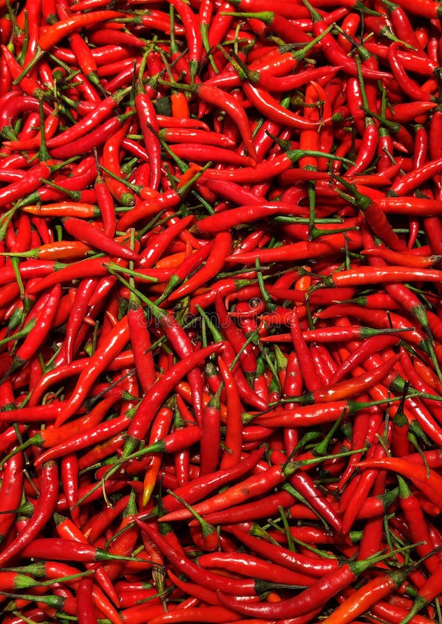 Fresh Red Hot Chillies Pile Background. Top View Stock Photo - Image of ...