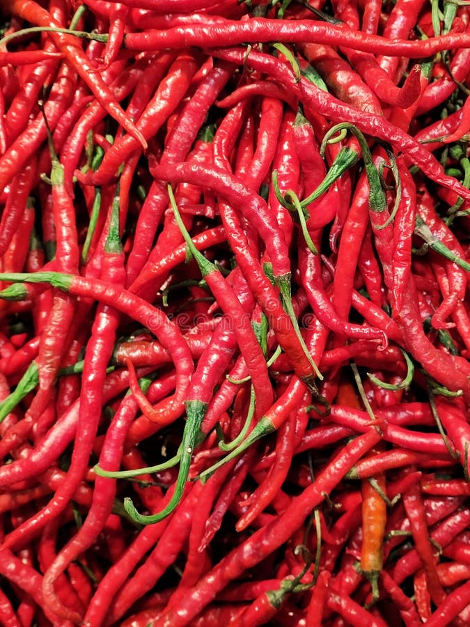 Fresh Red Hot Long Spicy Chilis Stock Image - Image of fruit, meat ...