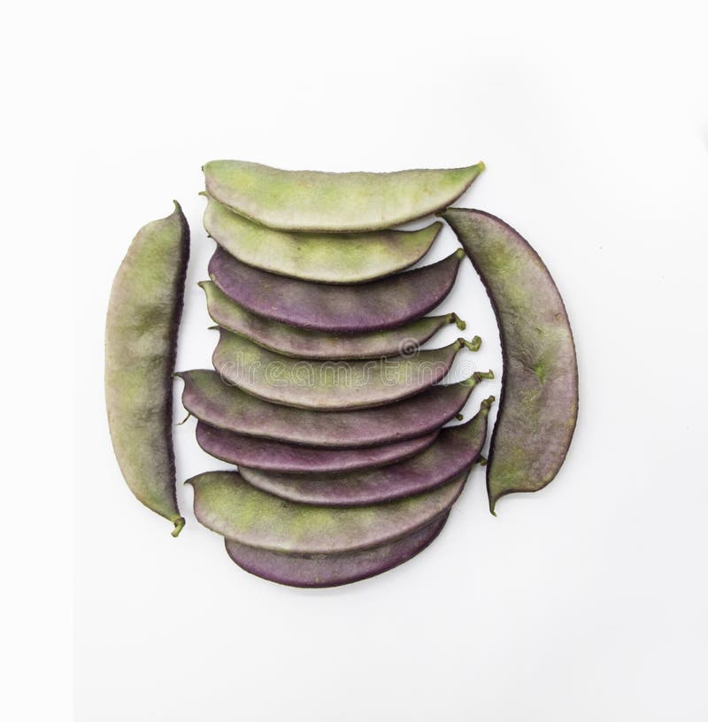 Red Lima Beans or Sheem Isolate on White Stock Image - Image of food ...