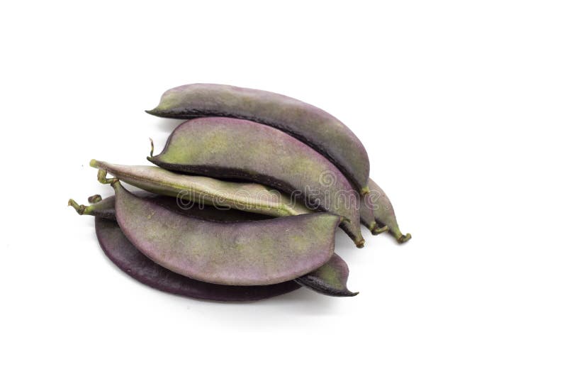 Fresh Red Lima Beans or Sheem Isolate on White Stock Image - Image of ...