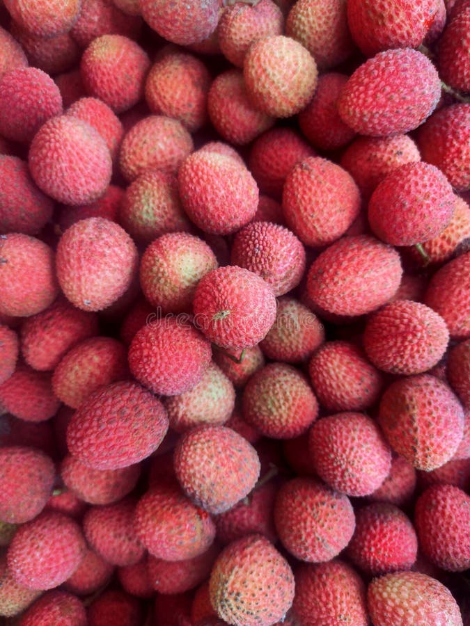 Fresh Red Litchi Fruit, Lichee, Lychee, or Lichi Stock Image - Image of ...