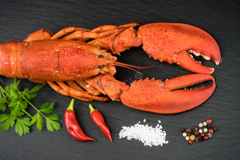 Fresh red lobster stock photo. Image of gourmet, crabs - 233236822