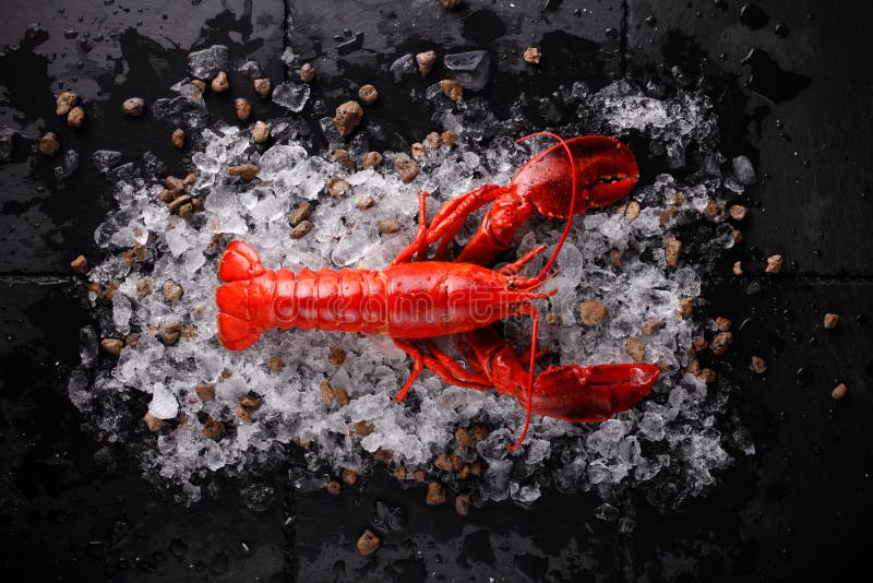 Fresh red lobster stock photo. Image of claw, lime, lobster - 76677124
