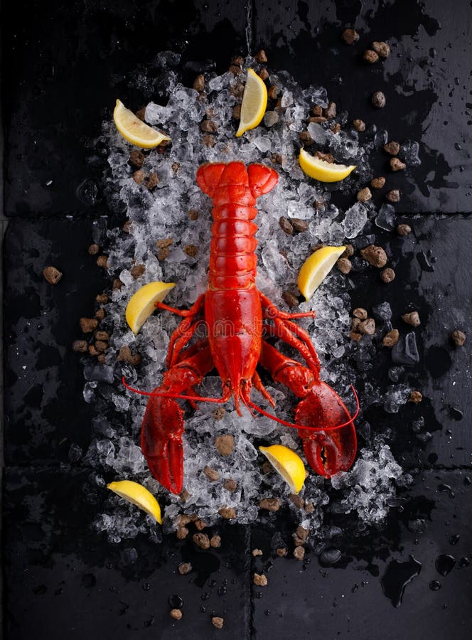 Fresh red lobster stock image. Image of claw, garlic - 76677141