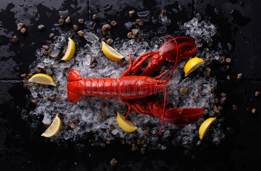 Fresh red lobster stock image. Image of ingredient, crustacean - 76677149