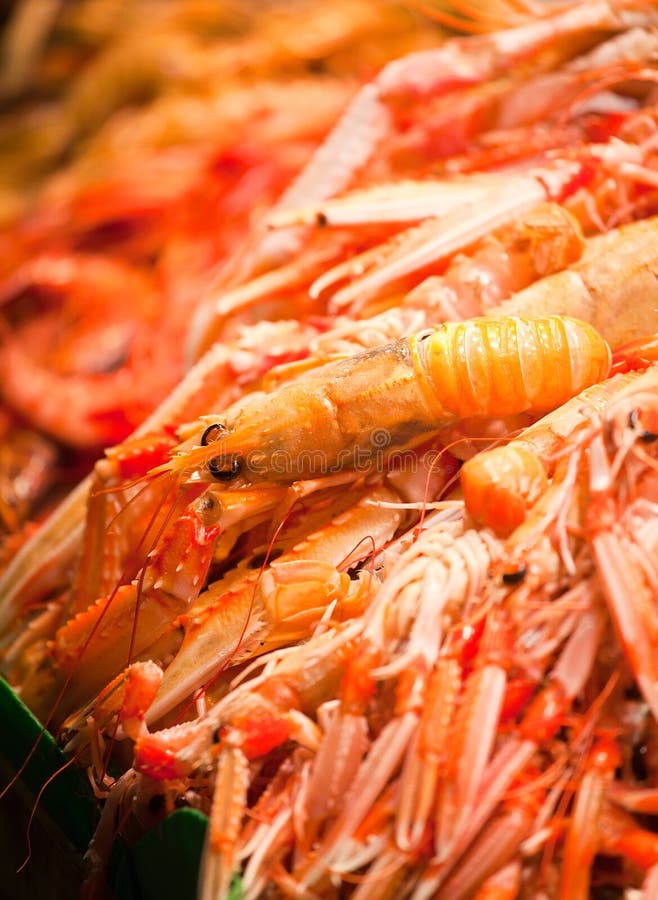 Fresh Red Lobsters Close Up Stock Image - Image of colorful, eating ...