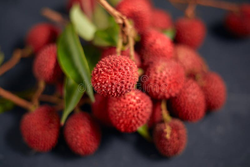 Fresh Red Lychee Fruits with Leaves Stock Image - Image of berrycopy ...