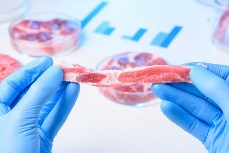 Fresh Red Meat Sample in Scientist Hands Stock Image - Image of dish ...