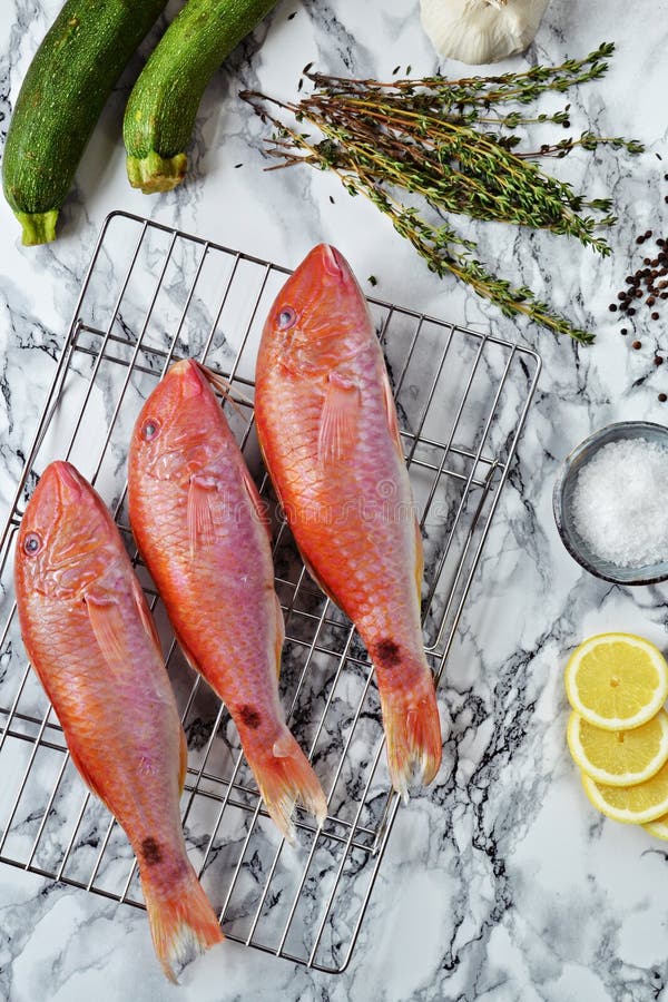 Fresh Red Mullet Fish stock photo. Image of light, fish - 94202102