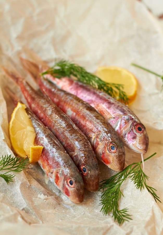 Fresh red mullet stock photo. Image of surmullet, nutrition - 39257116