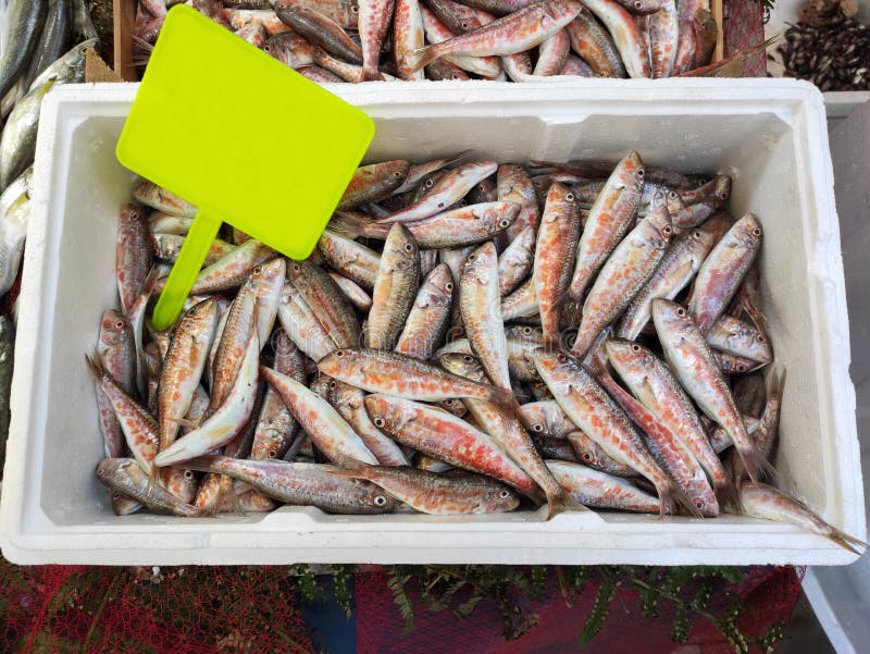 Fresh Red Mullets Fish at the Market Stock Photo - Image of fishmarket ...