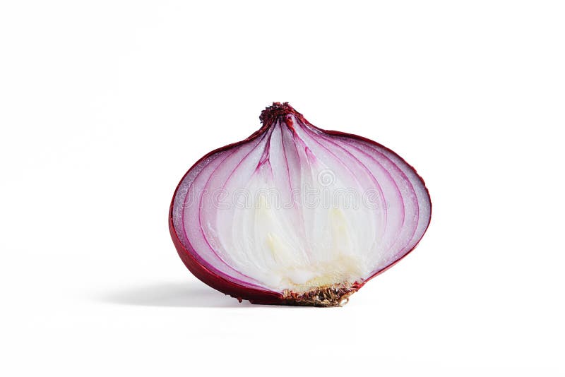 Red onion cutted in slices stock photo. Image of medicine - 13228182