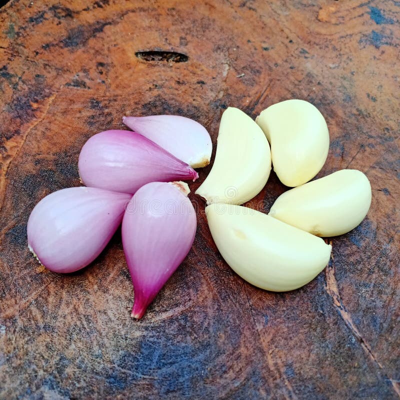Fresh red onion and garlic stock photo. Image of meal - 272920238