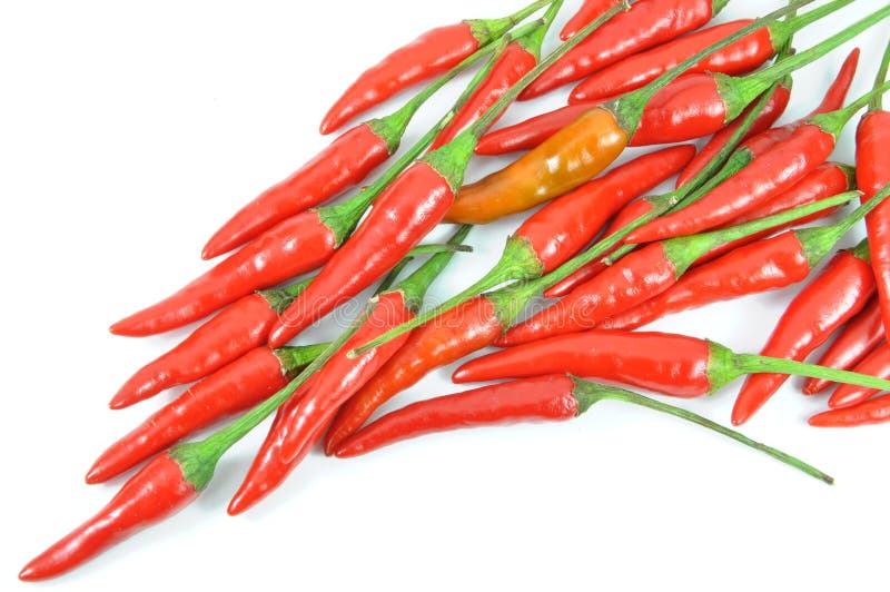 Fresh Red Pepper Background Stock Image - Image of chili, eating: 14032627