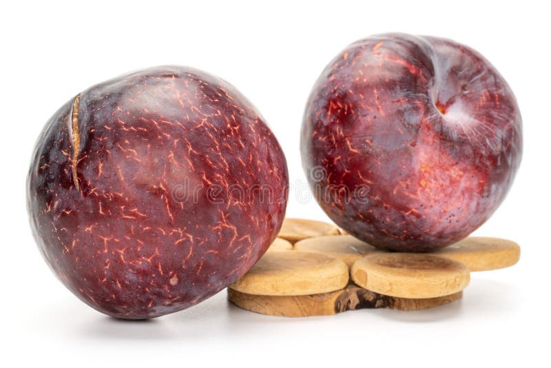 Old Tree Stump Isolated on White Background Stock Image - Image of ...