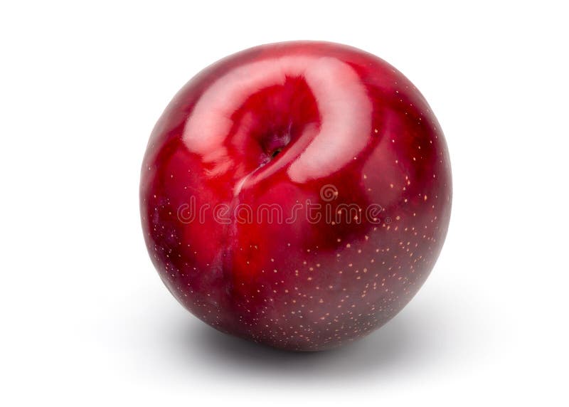 Fresh Red Plum stock photo. Image of isolated, health - 70183838