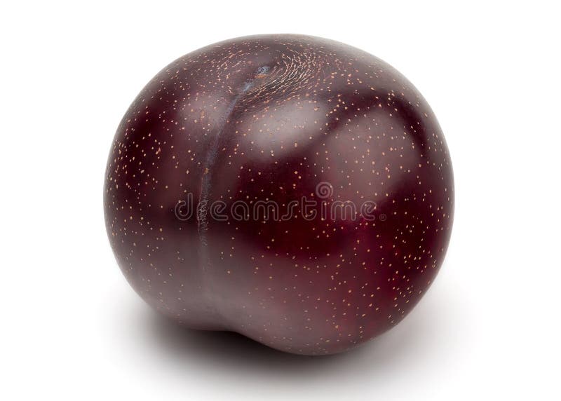 Fresh Red Plum stock photo. Image of sutdio, delicious - 70727824
