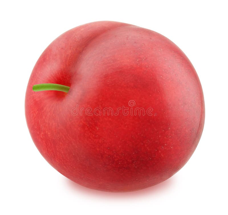 Fresh red plum stock image. Image of object, bright, texture - 92293285