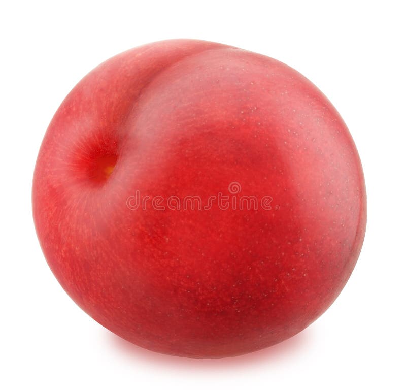 Fresh red plum stock image. Image of clipping, macro - 92293537